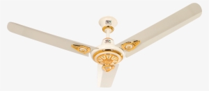 Pak Fan PNG Image | Transparent PNG Free Download on SeekPNG