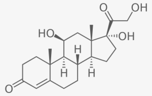 Saliva Analyses - Cortisol Chemical Structure PNG Image | Transparent ...