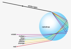 Refraction And Reflection - Rainbow Physics PNG Image | Transparent PNG ...