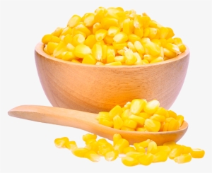 Maize PNG Image | Transparent PNG Free Download on SeekPNG