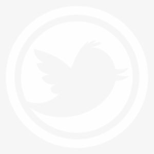 Twitter Logo Old - Grey Twitter Bird Icon PNG Image | Transparent PNG ...