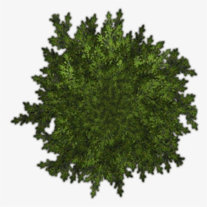 App - Js1391260163 - 24swapping Https - //s3 - Amazonaws - Billboard ...