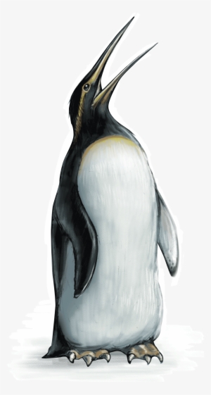 Emperor Penguin Clip Art