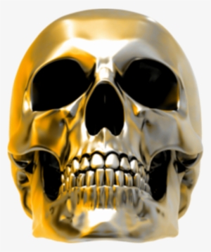 Skull 3d Render PNG Image | Transparent PNG Free Download on SeekPNG