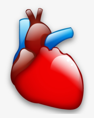 Cardiology, Heart, Organ Icon - Cardiology Icon PNG Image | Transparent ...