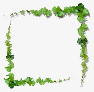 Nature Border Transparent