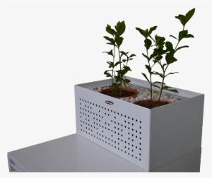 Planter Box-2 - Flower Box PNG Image | Transparent PNG Free Download on ...