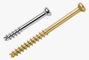 Short And Long Thread Screws In Stainless Steel And - 4 Mm Cannulated ...