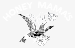 Hummingbird Logo For Pure Cyan Background PNG Image | Transparent PNG ...