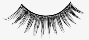 Kryolan Showgirl Eyelashes PNG Image | Transparent PNG Free Download on ...