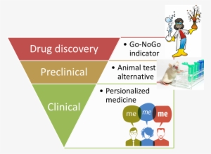 Organ On Chip Value Chain - Design Round Ornament PNG Image ...