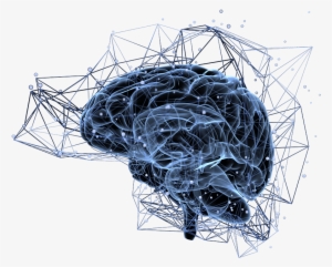 Brain Neuro Pathways - Brain PNG Image | Transparent PNG Free Download ...