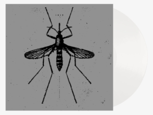 Mosquito Control Vinyl Ep Thumb - Isis The Band Mosquito PNG Image ...
