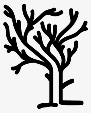 Tree Of Irregular Shape Branches On Winter Without - Rama Arbol Icono ...