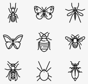 Insects PNG Image | Transparent PNG Free Download on SeekPNG