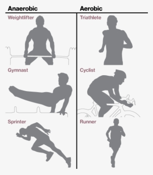 Anaerobic Training - Aerobic And Anaerobic Exercise PNG Image ...