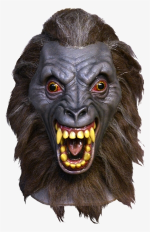 Werewolf Png PNG Image | Transparent PNG Free Download on SeekPNG