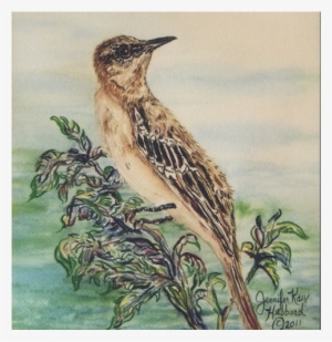 Bird, Artwork - American Tree Creeper PNG Image | Transparent PNG Free ...
