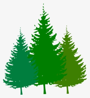 The Forest Logo Png - Forest Game Logo Hd Png PNG Image | Transparent ...