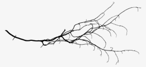 Tree Branch Png PNG Images | PNG Cliparts Free Download on SeekPNG