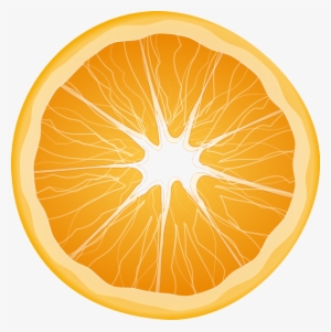 Orange Free Download Png - Cut Orange Transparent PNG Image ...