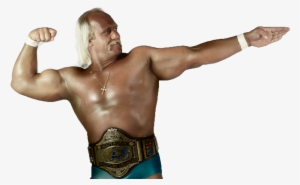 Hulk Hogan Png Clipart - Hulk Hogan Png PNG Image | Transparent PNG ...