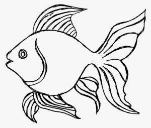 Little Goldfish - Drawing PNG Image | Transparent PNG Free Download on ...
