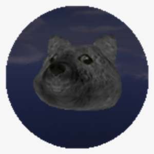 Dogecoin Logo Png PNG Image | Transparent PNG Free Download on SeekPNG