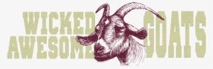 Wicked Awesome Goats - Goat PNG Image | Transparent PNG Free Download ...