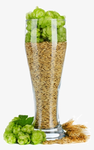The Ingredients - Lime PNG Image | Transparent PNG Free Download on SeekPNG