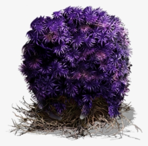 Purple Moss Clump - Illustration PNG Image | Transparent PNG Free ...