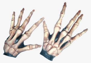Transparent Skeleton Hand Do Not Re-post Or Remove - Hand Skeleton ...