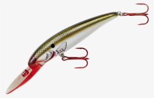 Lindy Rally Fish PNG Image | Transparent PNG Free Download on SeekPNG