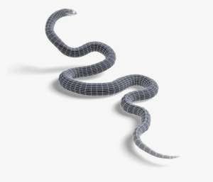 Black Mamba Snake Transparent Image - Black Mamba PNG Image ...