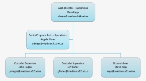 Operations Organizational Chart - Organizational Chart PNG Image ...