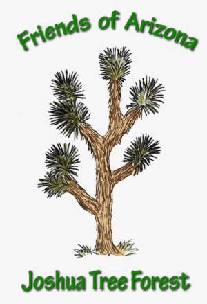 Zuffle Tree - Sabal Palmetto PNG Image | Transparent PNG Free Download ...