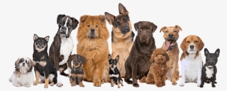 Dog Owners - Dog Family PNG Image | Transparent PNG Free Download on ...