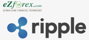 Ezforex Announces Successful Cross Border Payments - Ripple Xrp PNG ...