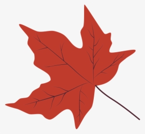 Sugar Maple - Maple Leaf PNG Image | Transparent PNG Free Download on ...