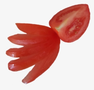 Tomato-fan - Tomato Fan PNG Image | Transparent PNG Free Download on ...