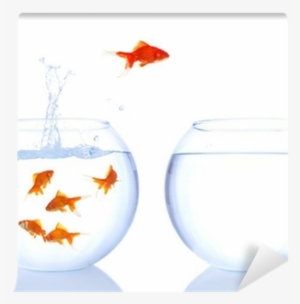 Goldfish Jumping Animated Gif PNG Image | Transparent PNG Free Download ...