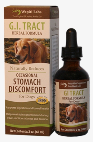 Gi Tract For Dogs - Wapiti Labs Inc Dog Gi Tract Formula PNG Image ...