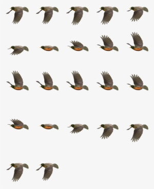 Robin Sprite Sheet - Bird Sprite Sheet Png PNG Image | Transparent PNG ...
