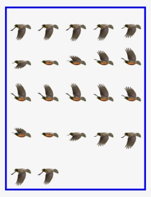 Robin Sprite Sheet - Bird Sprite Sheet Png PNG Image | Transparent PNG ...