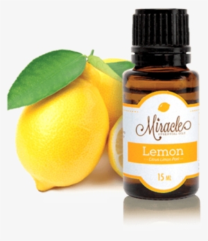 Essential Oil PNG Image | Transparent PNG Free Download on SeekPNG