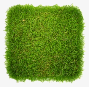 2d Grass Blade Texture - High Grass Texture Transparent PNG Image ...