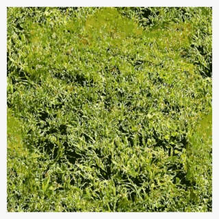 Medium Image - Lawn PNG Image | Transparent PNG Free Download on SeekPNG