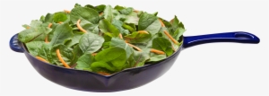 Spring Greens PNG Image | Transparent PNG Free Download on SeekPNG