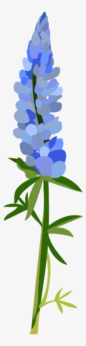 The Library Voice - Portable Network Graphics PNG Image | Transparent ...