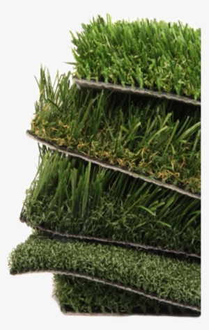 Artificial Turf PNG Image | Transparent PNG Free Download on SeekPNG